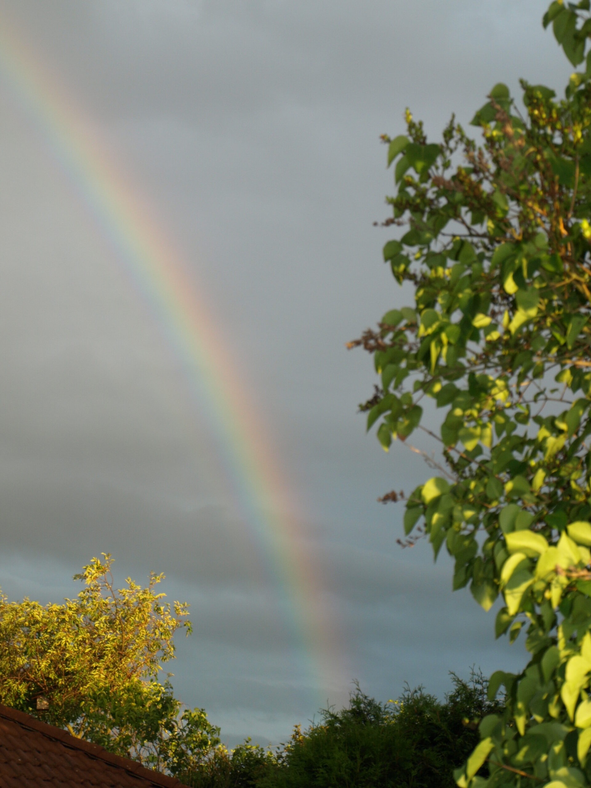 Die 7 Farben des Regenbogens - Atlas Bestattungen Coburg